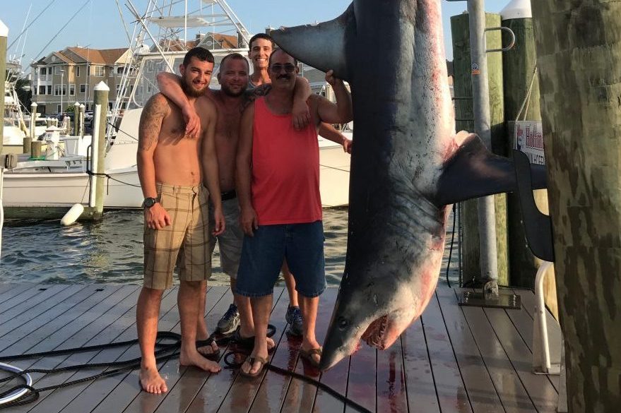 World Record Mako Shark