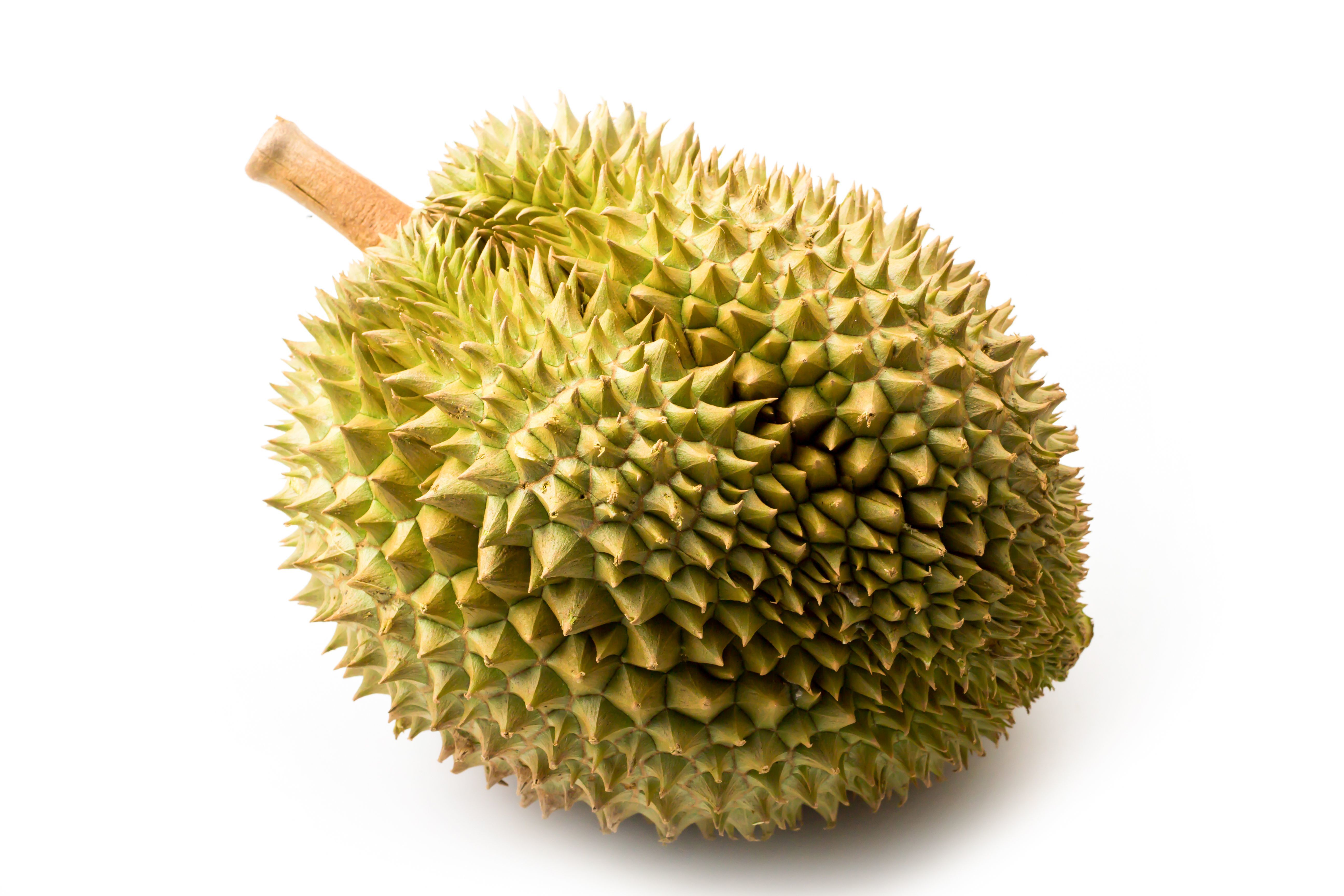 Spiky Fruit That Smells Bad